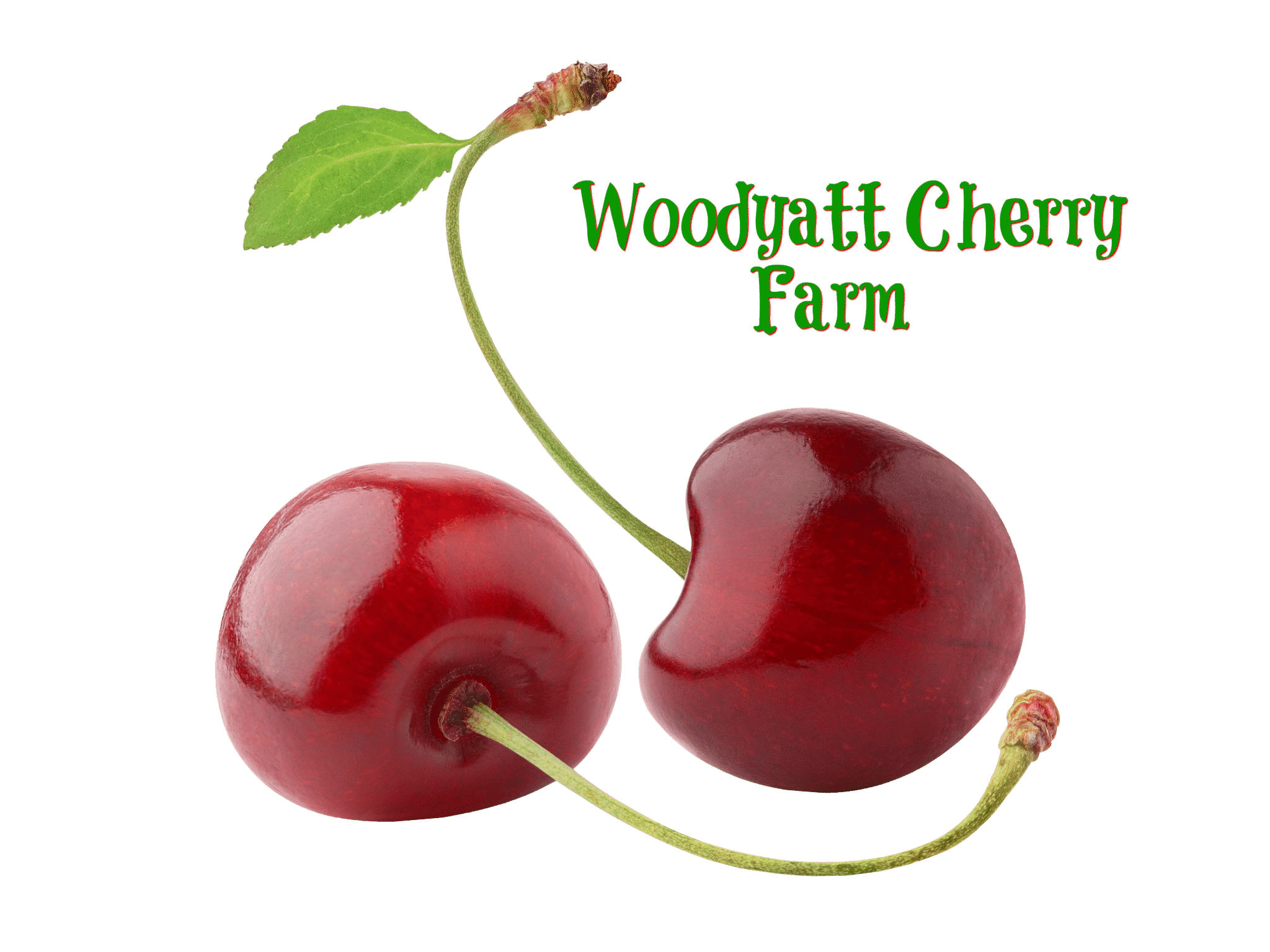 Home - Woodyatt Cherry Farm - 100% Utah Grown Montmorency Cherries